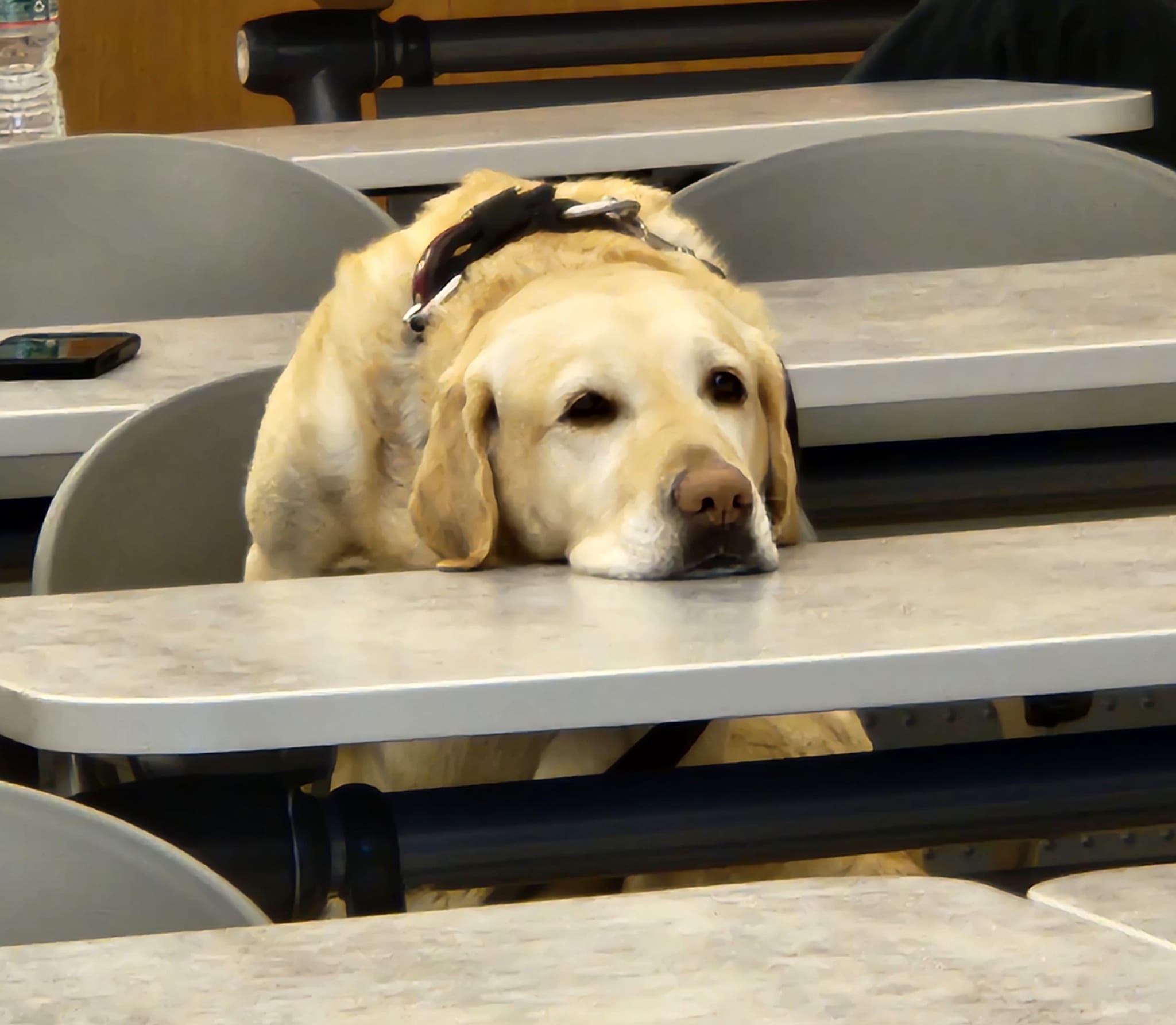 CIT Program - NAMI New Hampshire