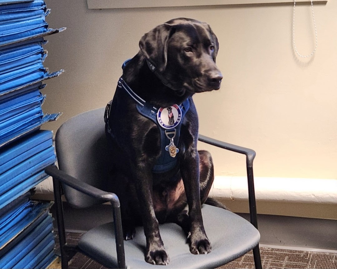 CIT Program - NAMI New Hampshire